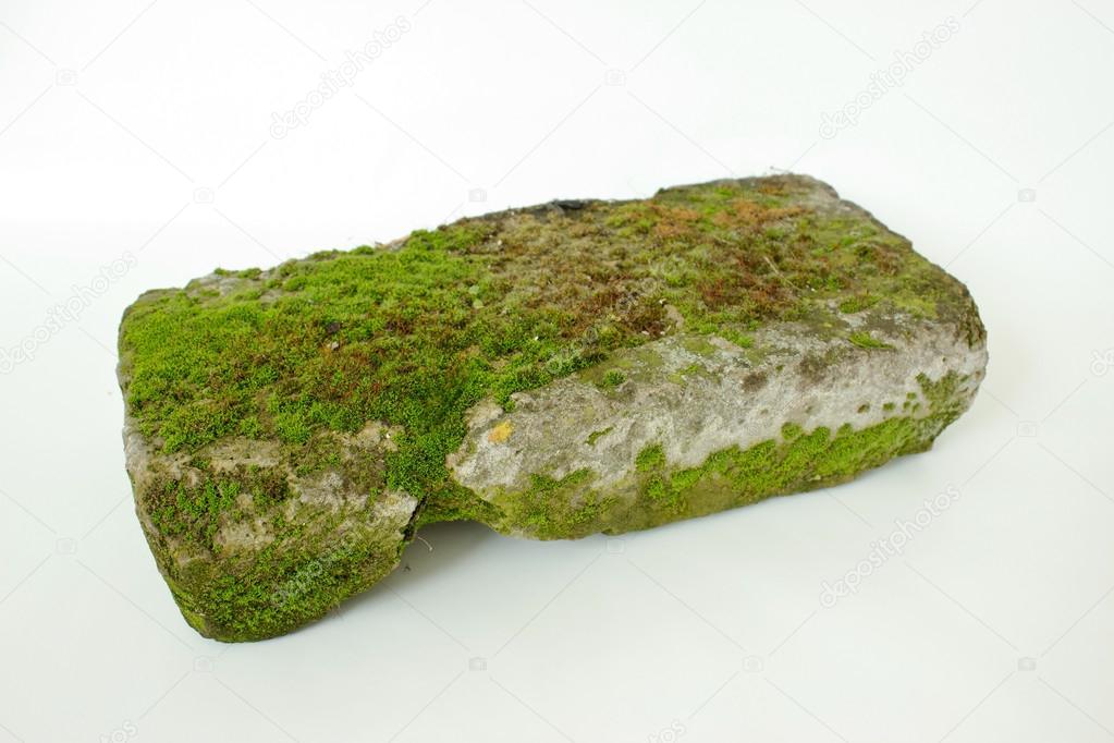 Old Brick with Moss on White Background — Stock Photo © pemaphoto #32598503