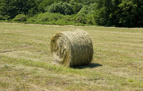 Two Hay Rolls in field — Stock Photo © ckellyphoto #11167679