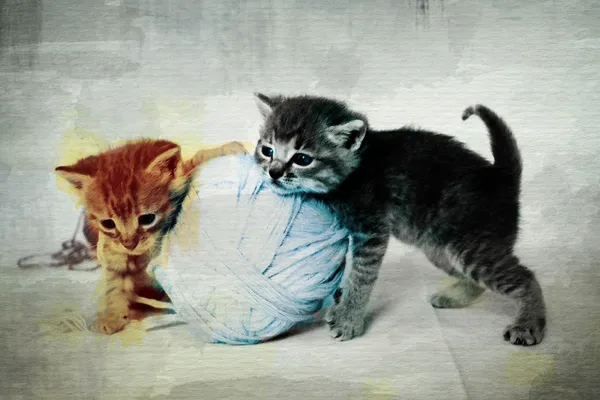 Kittens playing Stock Photos, Royalty Free Kittens playing Images ...