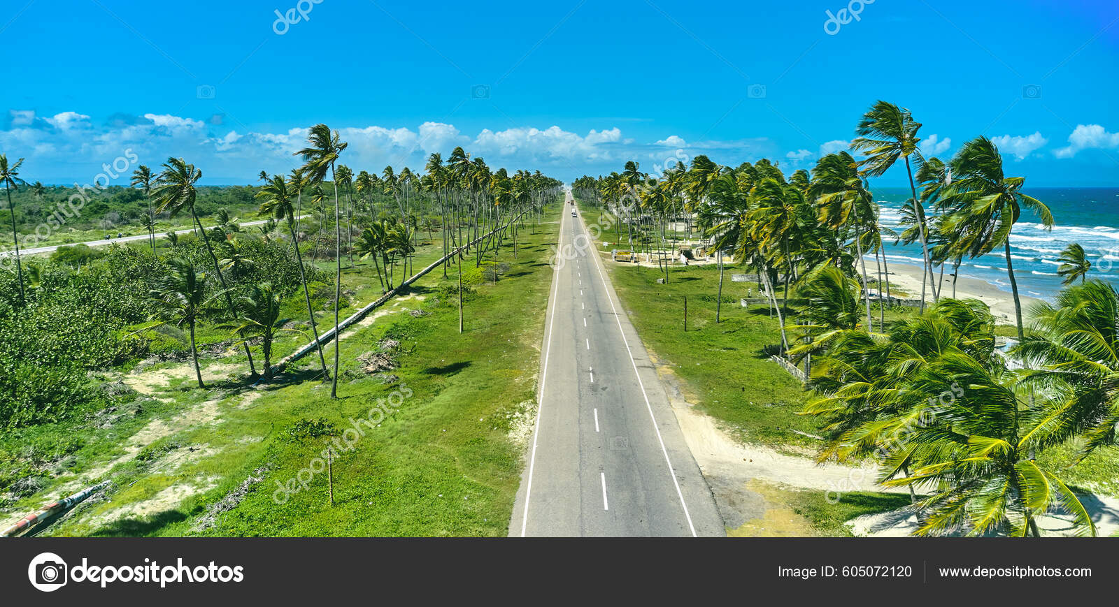 Beautiful Caribbean Road Palm Trees Coast Venezuela Road Happy Tucacas ...