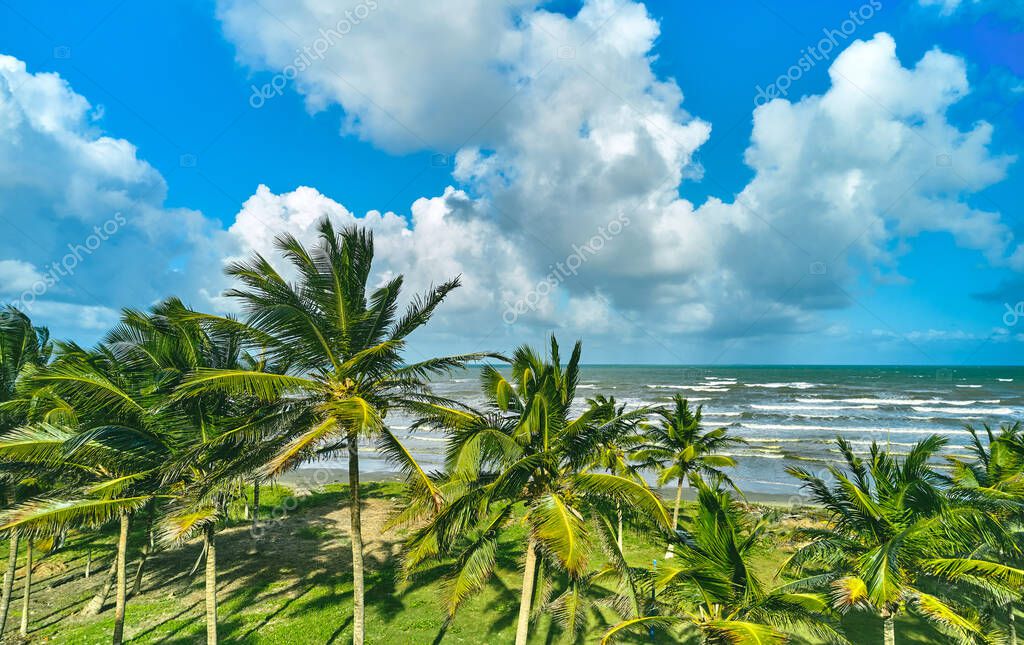 Lugar paradisíaco de palmeras y mar en Tucacas, Venezuela, vista aérea ...