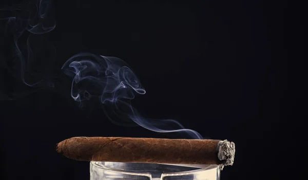 Lit Cigar With Smoke