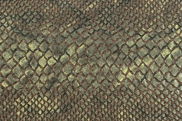 Reptile skin — Stock Photo © lifeonwhite #10869335