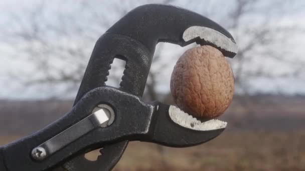 1,017 Pipe wrench Videos, Royalty-free Stock Pipe wrench Footage ...