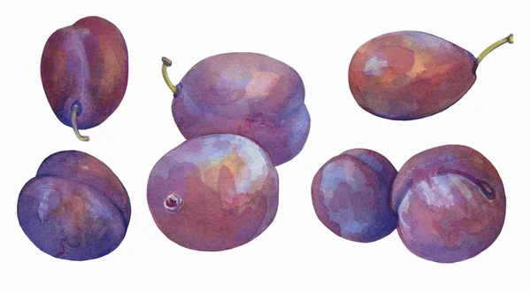 Watercolor painting on white background Stock Photo by ©deslns 12047958