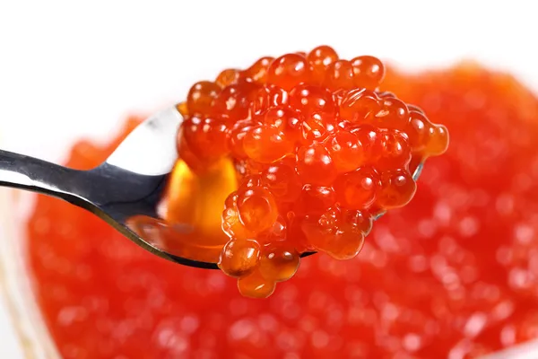 Soft roe Pictures, Soft roe Stock Photos & Images | Depositphotos®