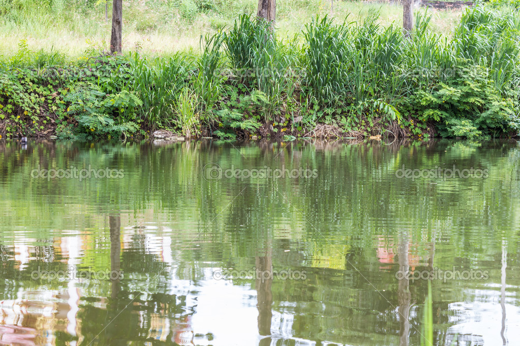 Natural ponds. Stock Photo by ©amnachphoto 35780193