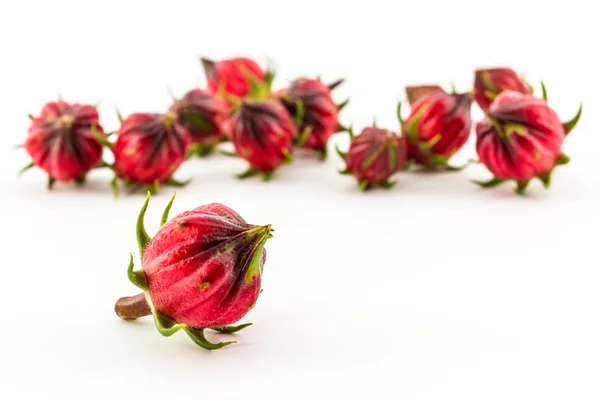 Hibiscus sabdariffa images libres de droit, photos de Hibiscus ...