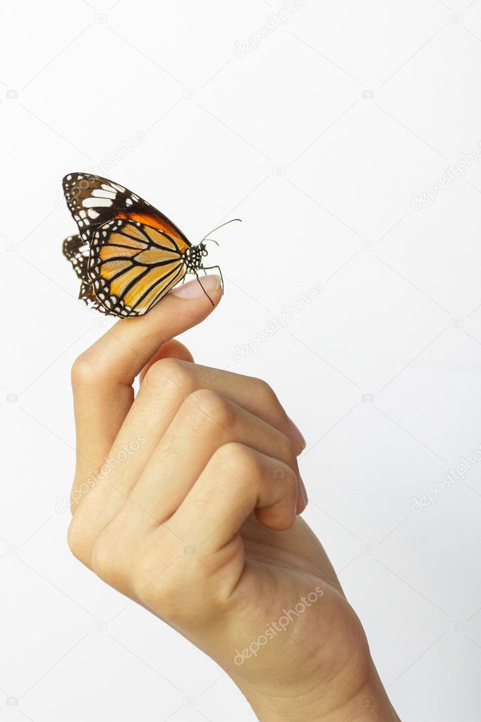 Beautiful butterfly sitting on the girl hand. — Stock Photo ...