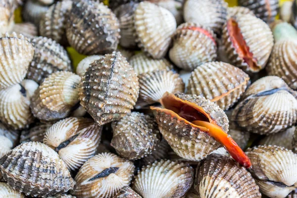 Blood cockle (Anadara granosa). Stock Photo by ©amnachphoto 45255465