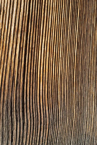 Fotos de Louvre kayu, Imagens de Louvre kayu sem royalties | Depositphotos