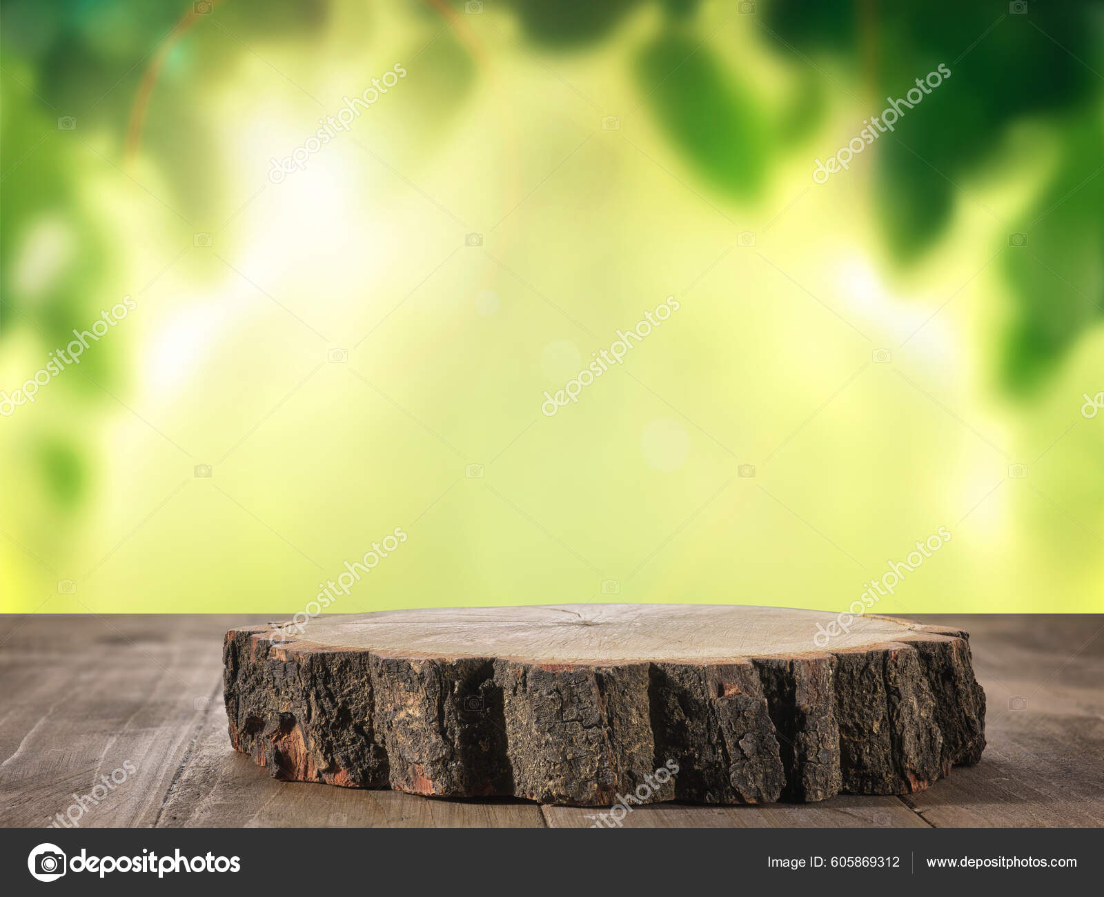 Natural Wood Texture Tree Stump Forest Background Stock Photo by ...