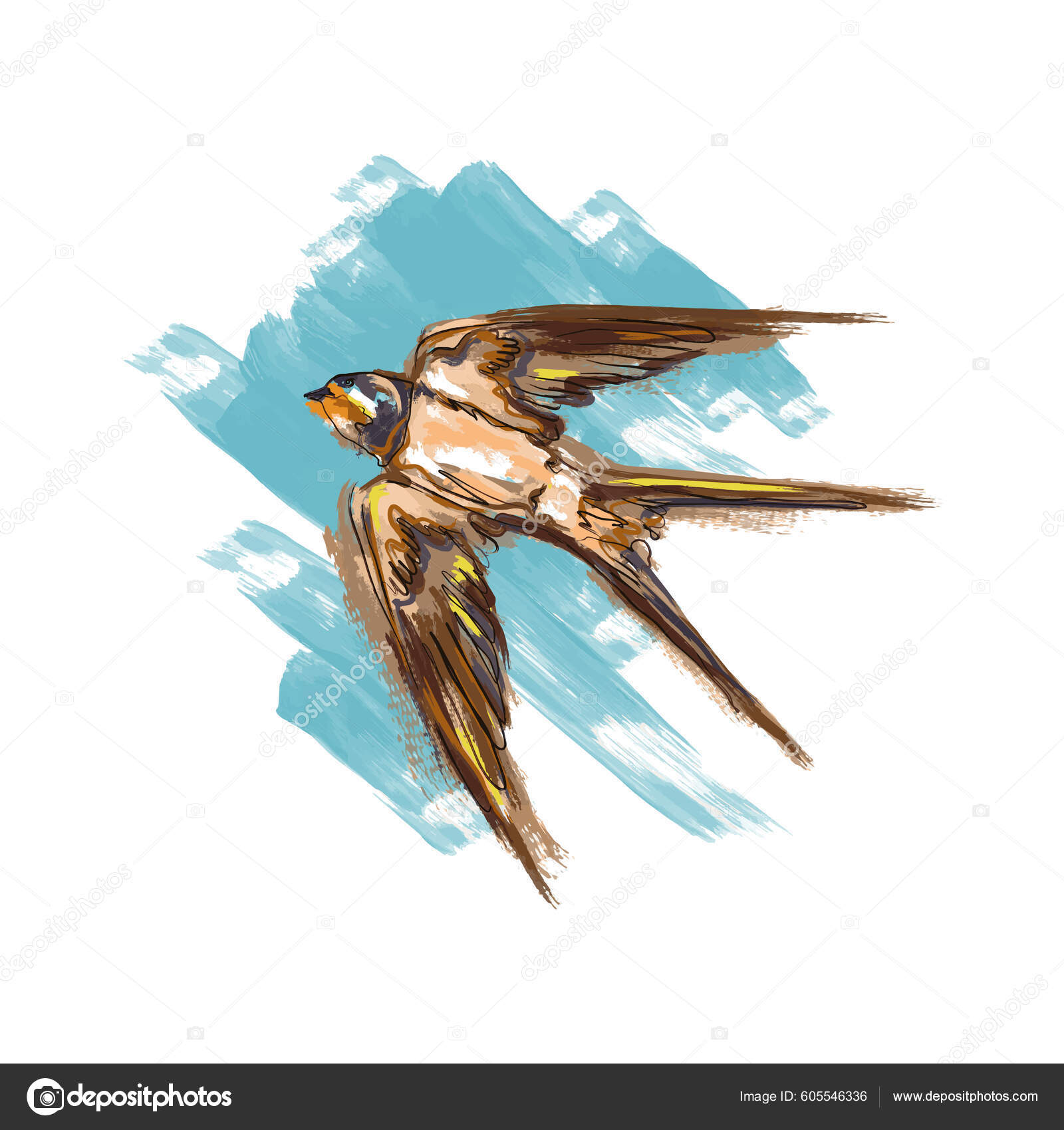 Flying Swallow Illustration
