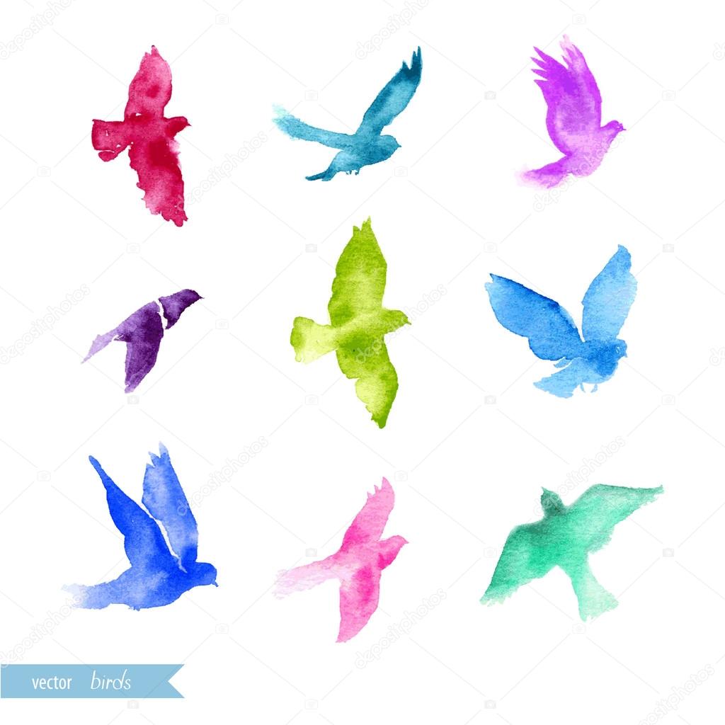 Watercolor birds Stock Vector by ©mrs_opossum 47794679