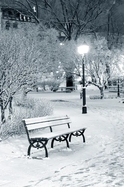 Snow on trees in Riga park by night - Stock Image - Everypixel