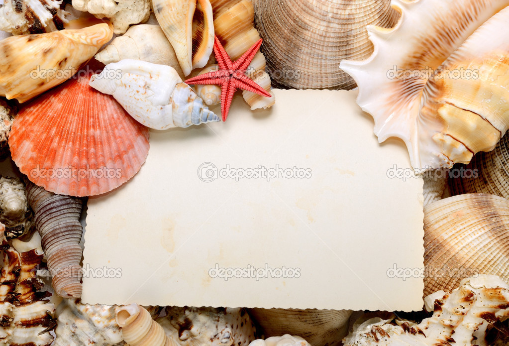 Postcard in sea shells frame Stock Photo by ©alex.stemmer 32838585