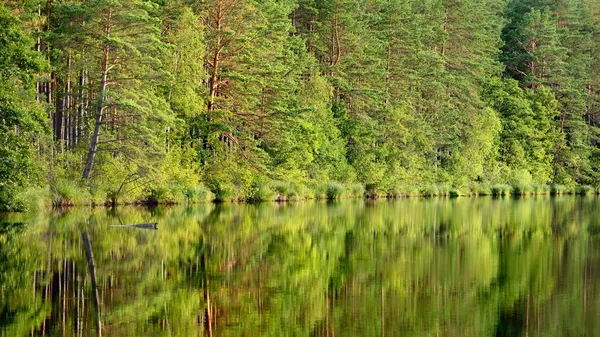 Ti tree lake Stock Photos, Royalty Free Ti tree lake Images | Depositphotos