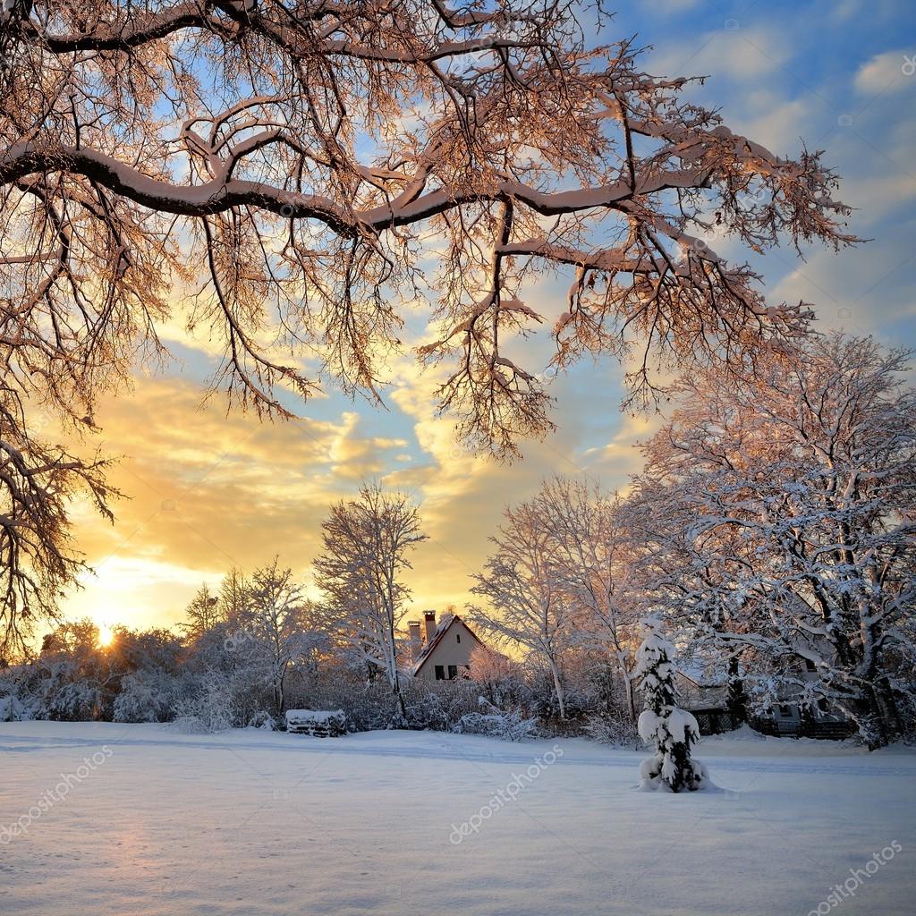 Paesaggio invernale al tramonto — Foto Stock #42688449