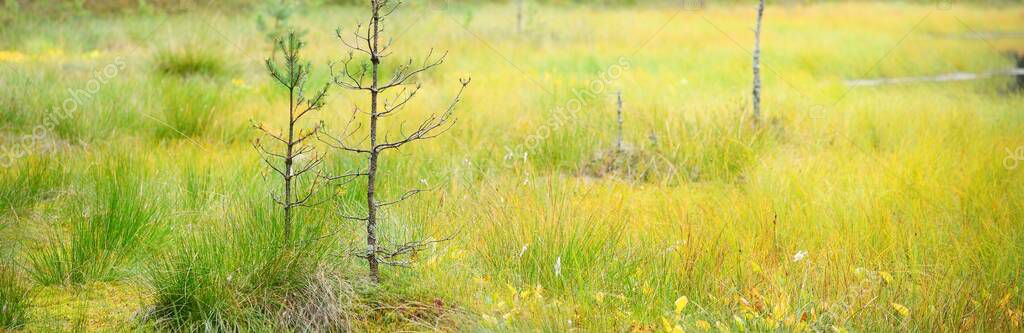 ทุ่งหญ้าสีน้ำตาล Stock Photos, Royalty Free ทุ่งหญ้าสีน้ำตาล Images ...