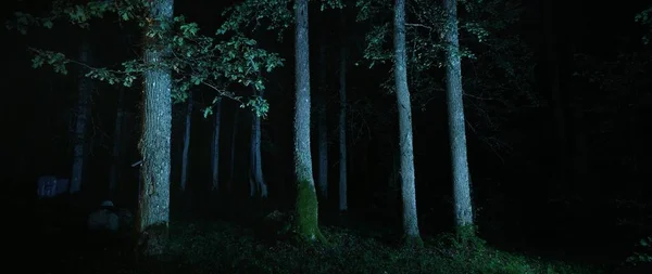 Forest at night with cabin Stock Photos, Royalty Free Forest at night ...