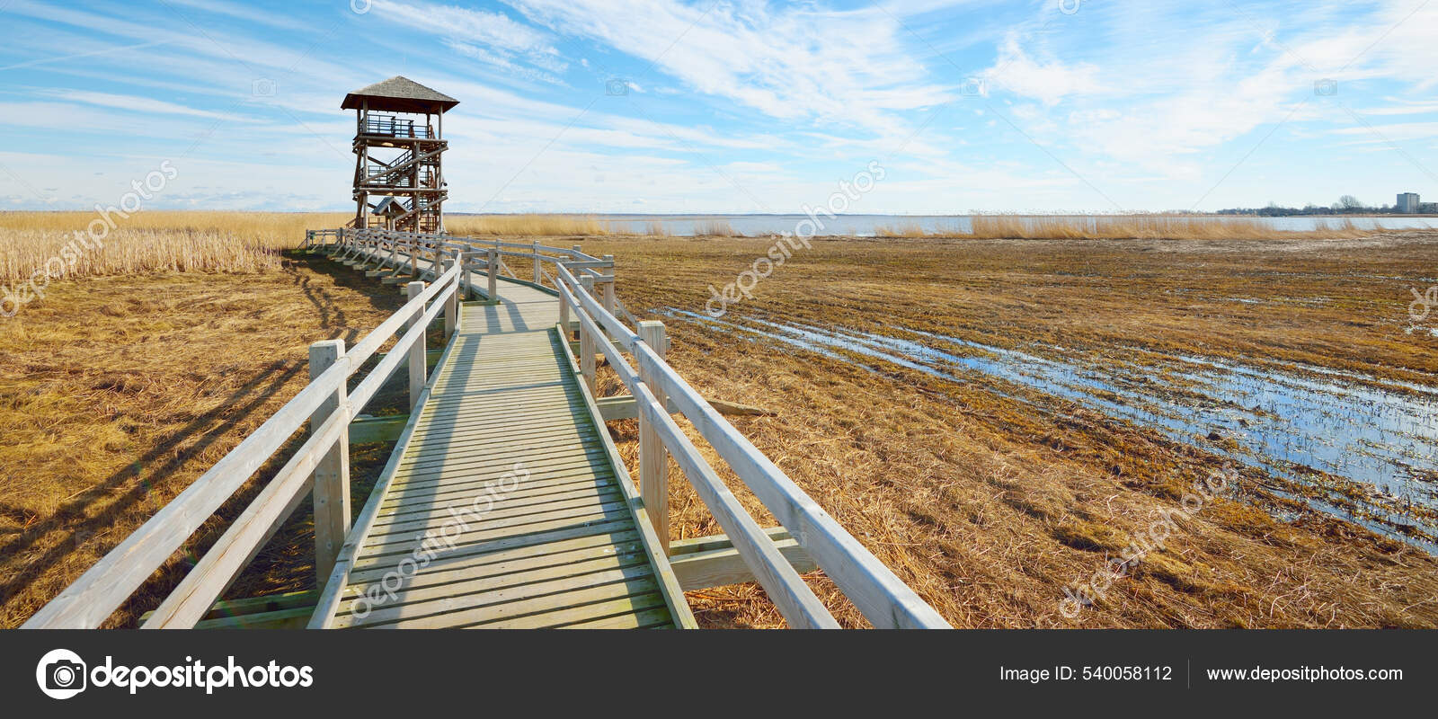 Wooden Pathway Bird Watching Tower Lake Sunny Spring Day Netherlands ...