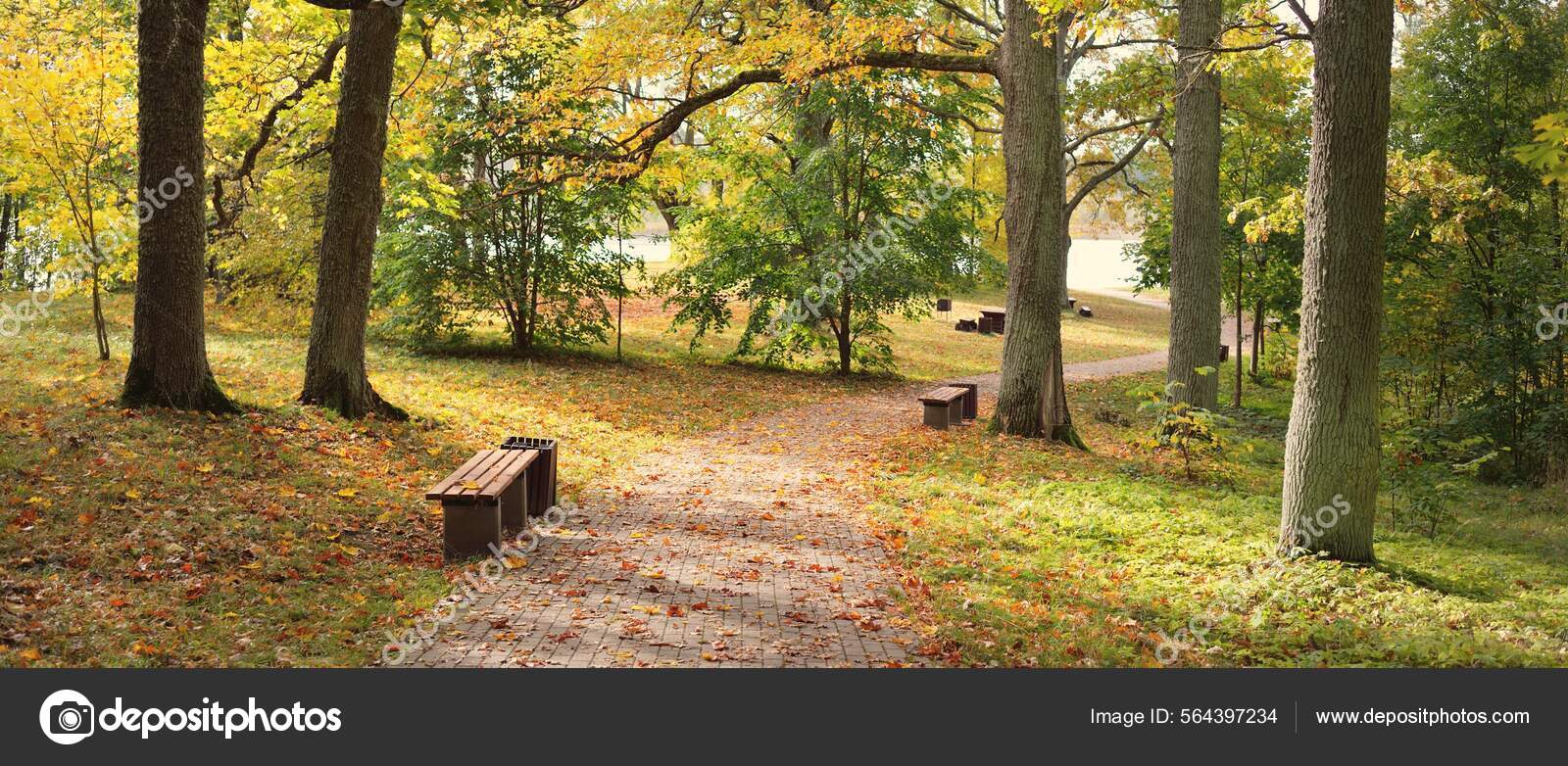 Rural Road Alley Pathway City Park Mighty Trees Colorful Green — Stock ...
