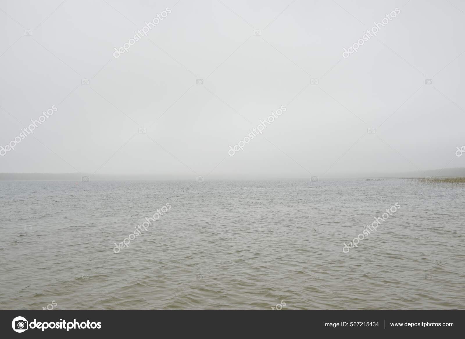 Forest River Lake Thick Fog Gloomy Sky Rain Overcast Day — Stock Photo ...