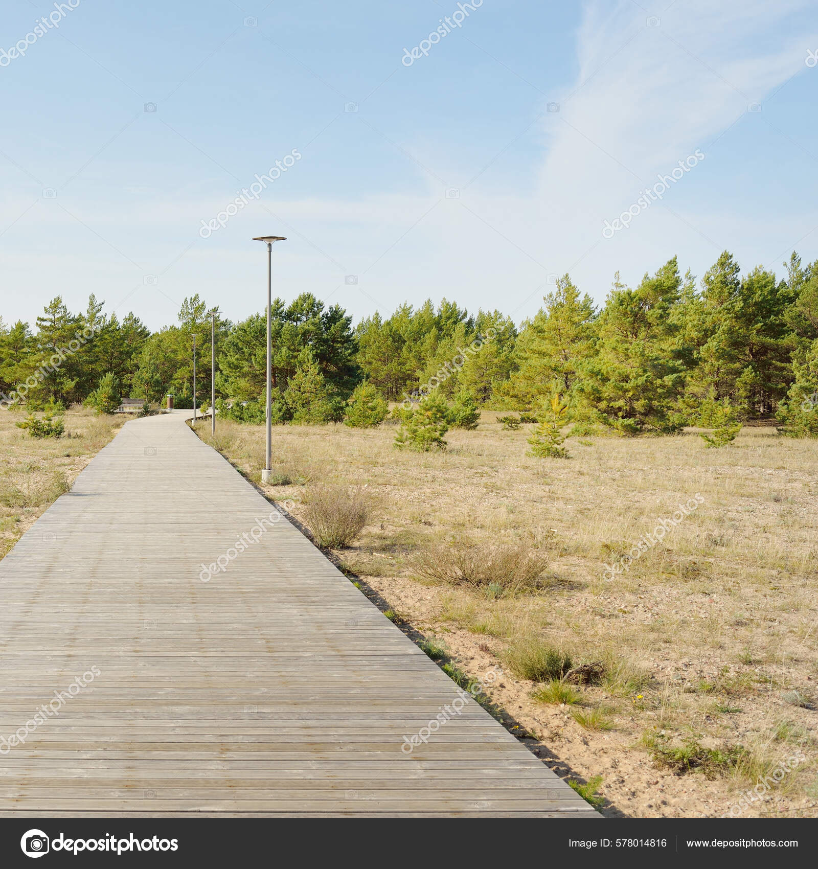 Modern Wooden Pathway Boardwalk Baltic Sea Coast Forest Idyllic ...