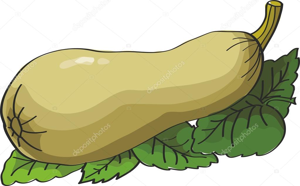 Calabaza Vector de stock por ©Son 34642623