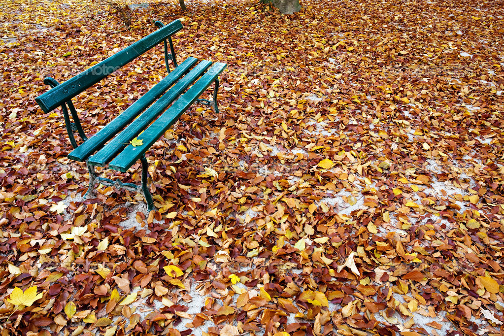 Bench in a park on fall season — Stock Photo © ajn #33414681