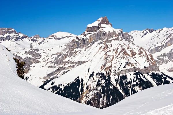 Snowy Mountains in the Swiss Alps — Stock Photo © ajn #35739163