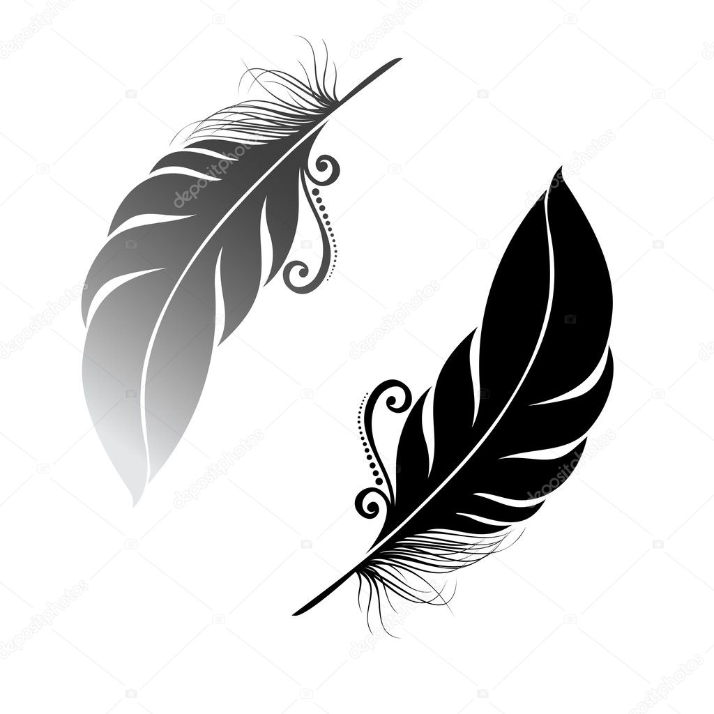 Plumas decorativas dibujo | Peerless plumas decorativas — Vector de ...