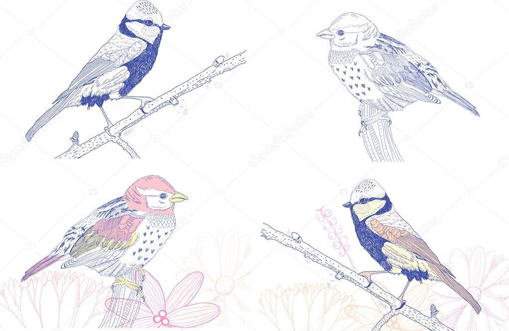Hand drawn birds Stock Vector by ©orfeev 51177875