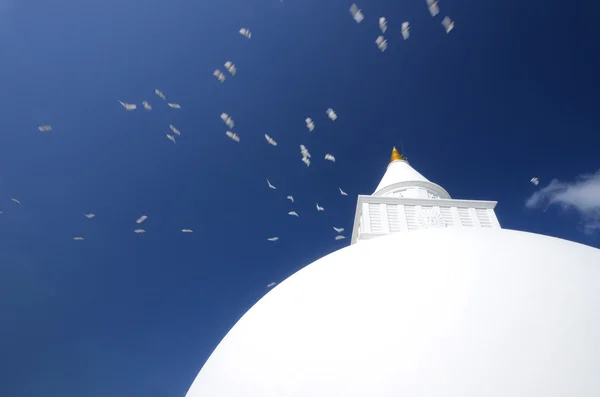 Kiri Wehera Dagabo — Stock Photo © erandalx #34092991