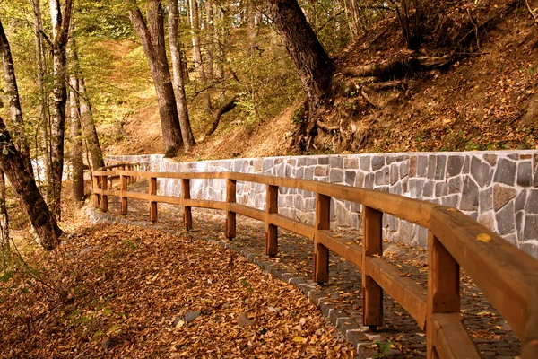 Wooden path with handrails Stock Photos, Royalty Free Wooden path with ...