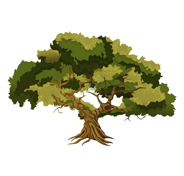 Oak tree heraldry Vector Images | Depositphotos