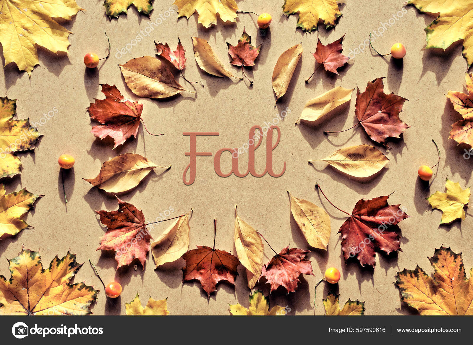 Dry Atumn Leaves Pumpkin Cardboard Background Word Fall Center Circular ...
