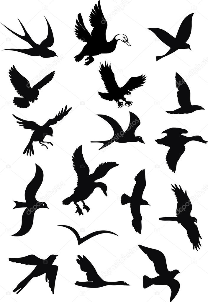 Birds bis — Stock Photo © tireless #36738565