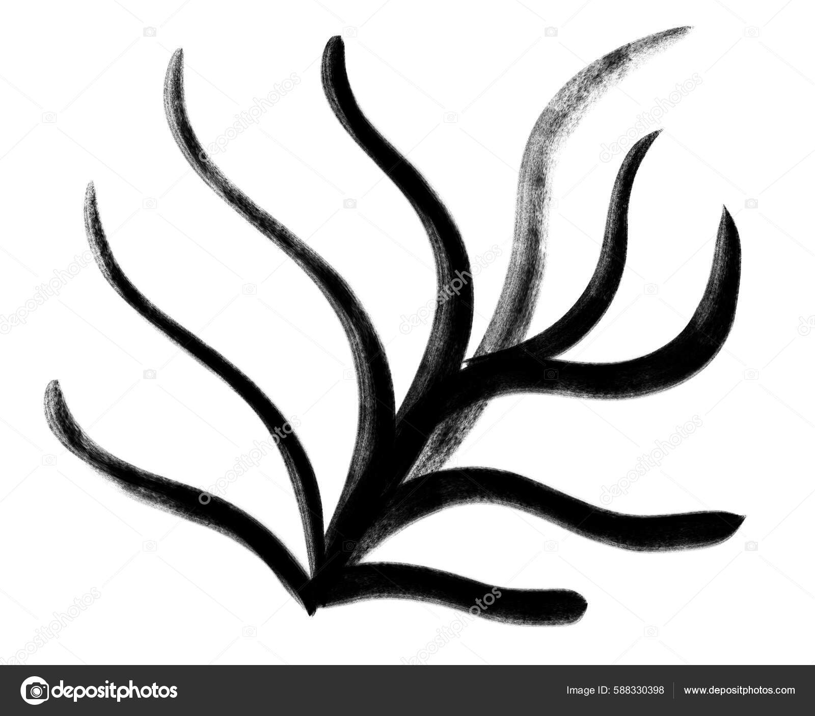 Black Ink Plant Line Doodle Freehand Sketch Drawing Shape Form — Stock ...