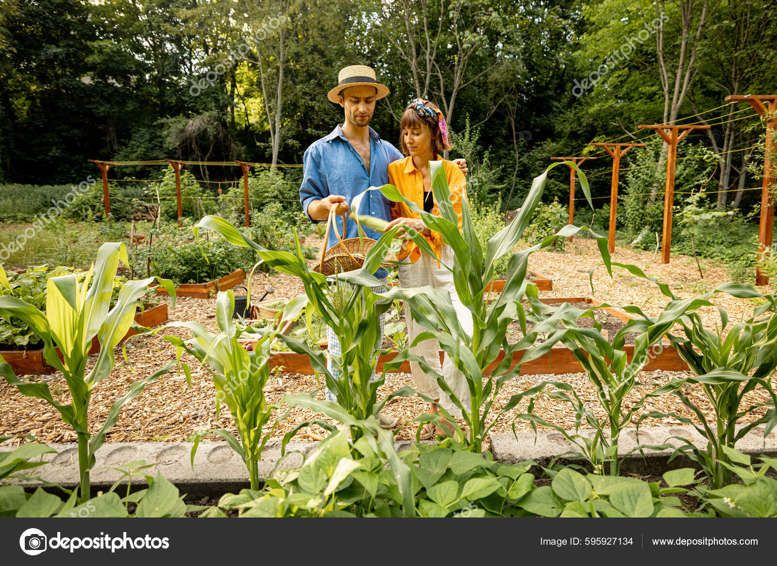 Local Farmers Working
