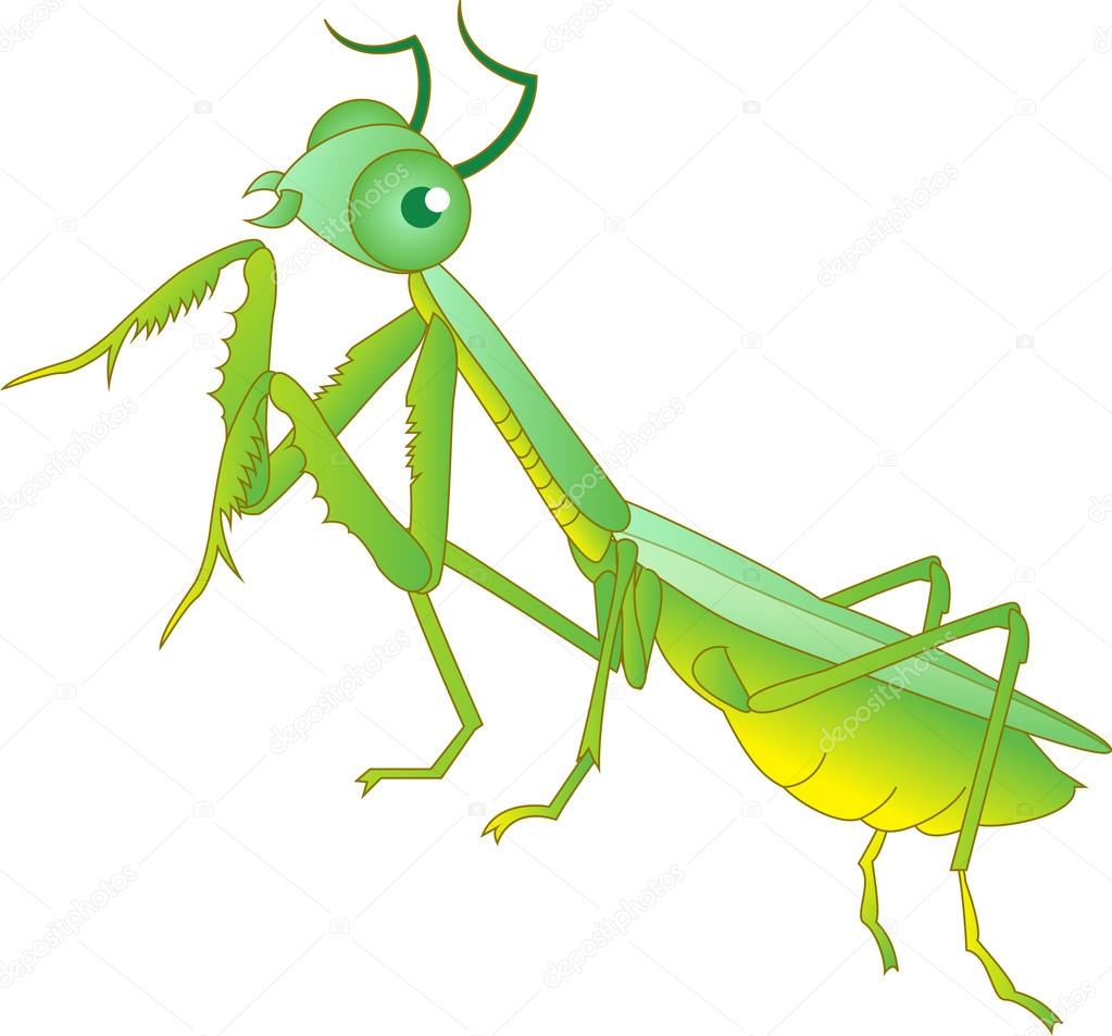 Rezando mantis saltamontes dibujos animados 2022