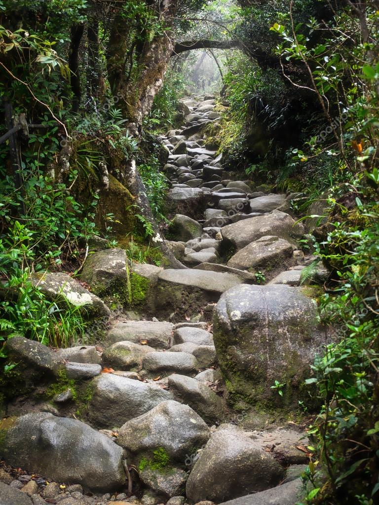 Rocky Trail at Mount Kinabalu in Sabah, Malaysia. Stock Photo by ...