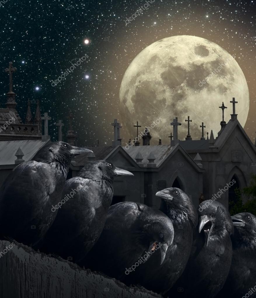 Night of the crows — Stock Photo © zacariasdamata #33499029