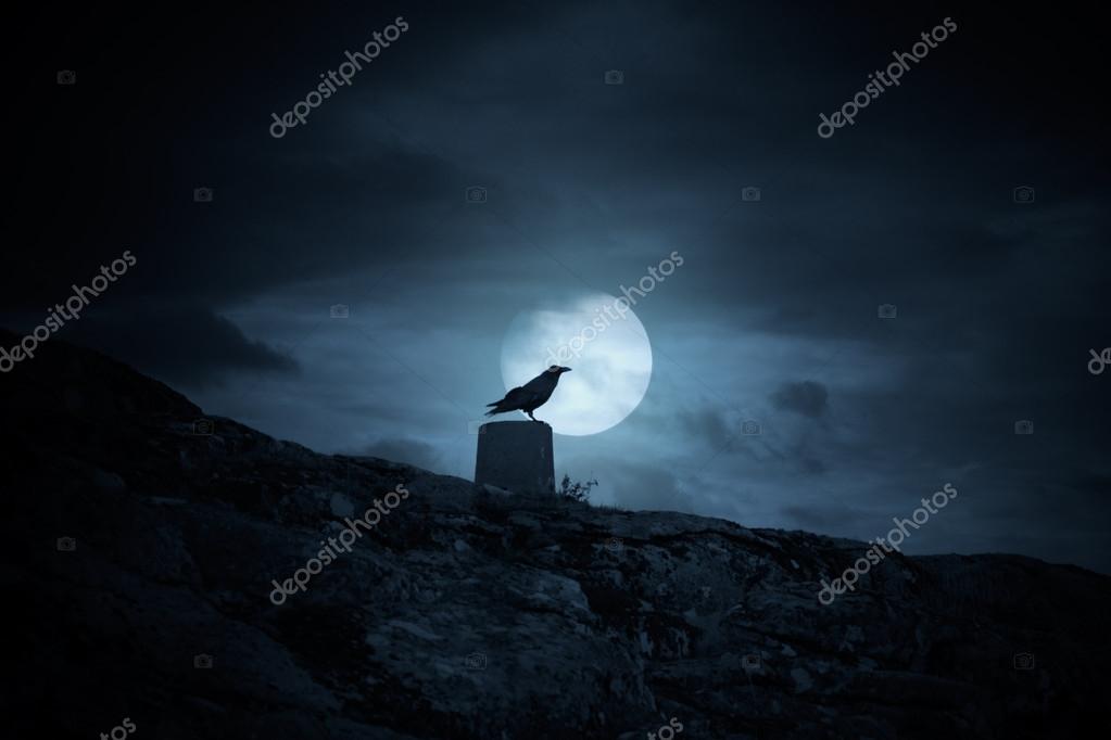 Full moon crow — Stock Photo © zacariasdamata #38964093
