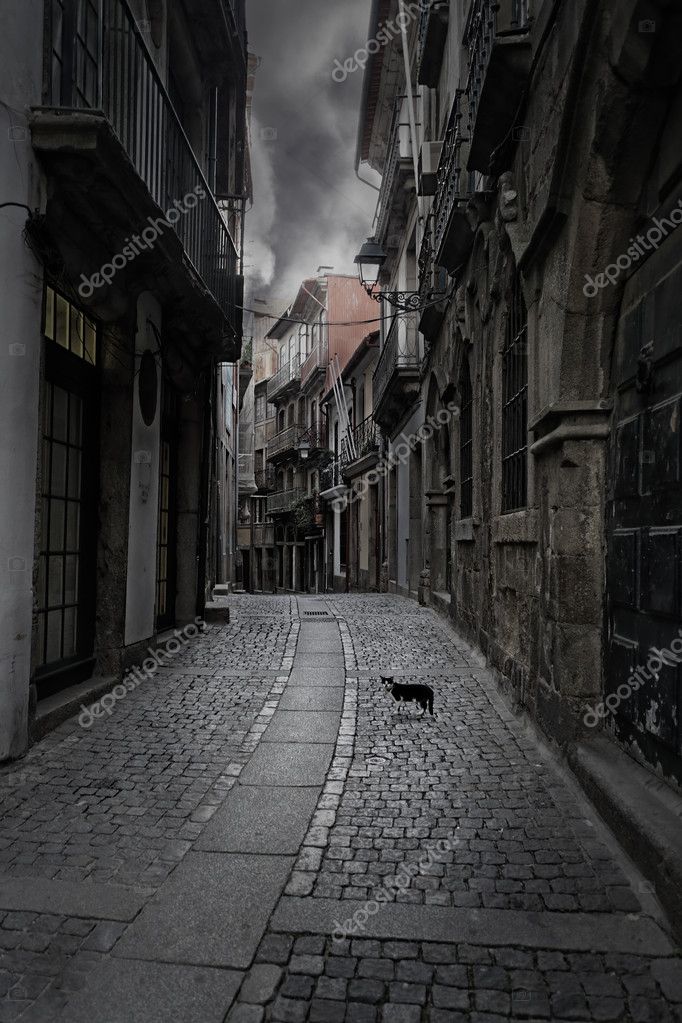 Bummer ⬇ Stock Photo, Image by © zacariasdamata #46464273