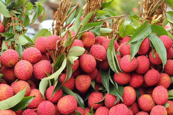 Lychee berry Stock Photos, Royalty Free Lychee berry Images | Depositphotos
