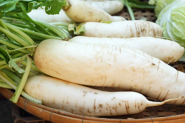 Fotos de Rábano chino fresco, Imagens de Rábano chino fresco sem ...