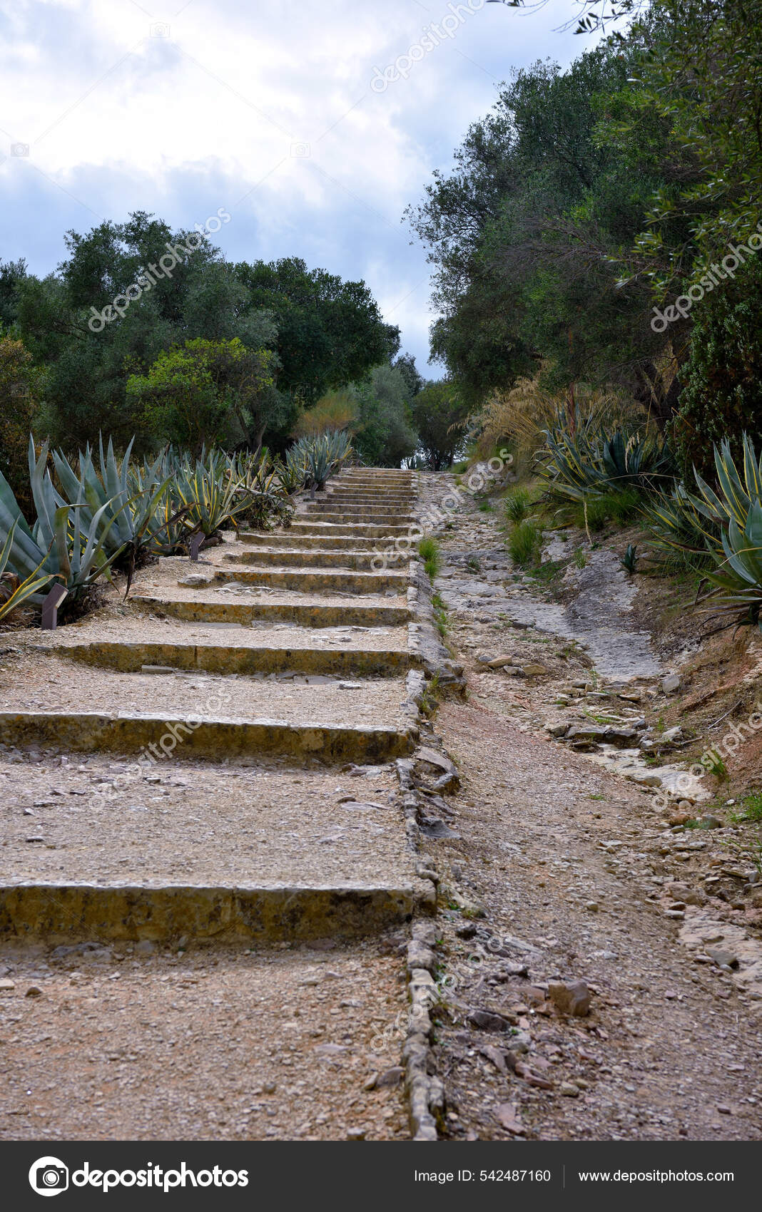 Footpath Ancient Greek Temple Segesta Trapani Sicily Italy Stock Photo ...