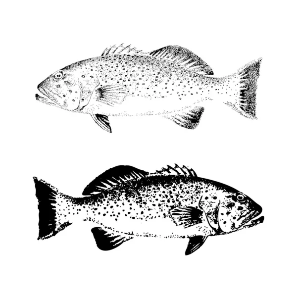 1,519,617 전통 일러스트 Vector Images | Depositphotos