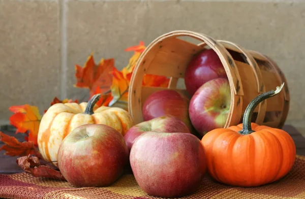 Fall harvest Stock Photos, Royalty Free Fall harvest Images | Depositphotos
